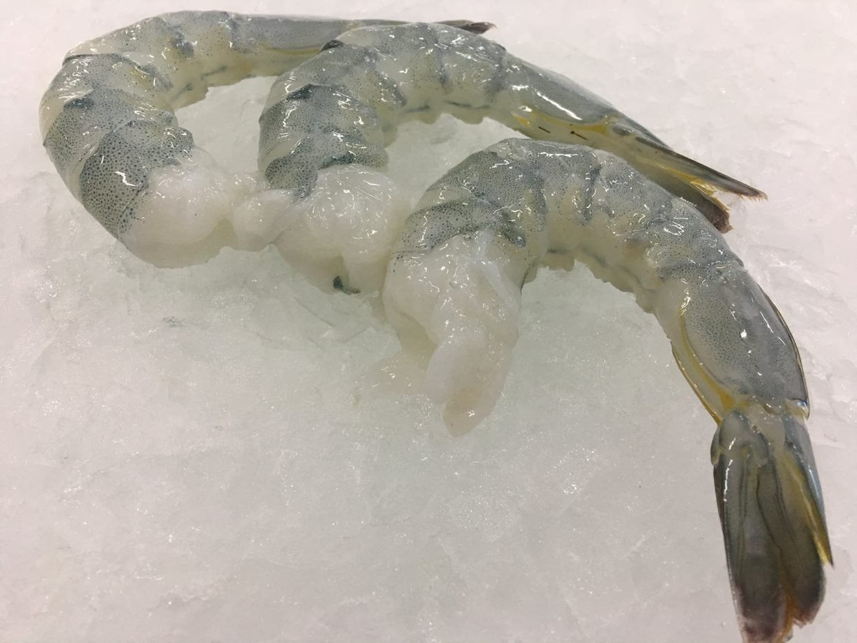 Green Australian QLD Prawn Cutlets FROZEN - Rosedale Butchers